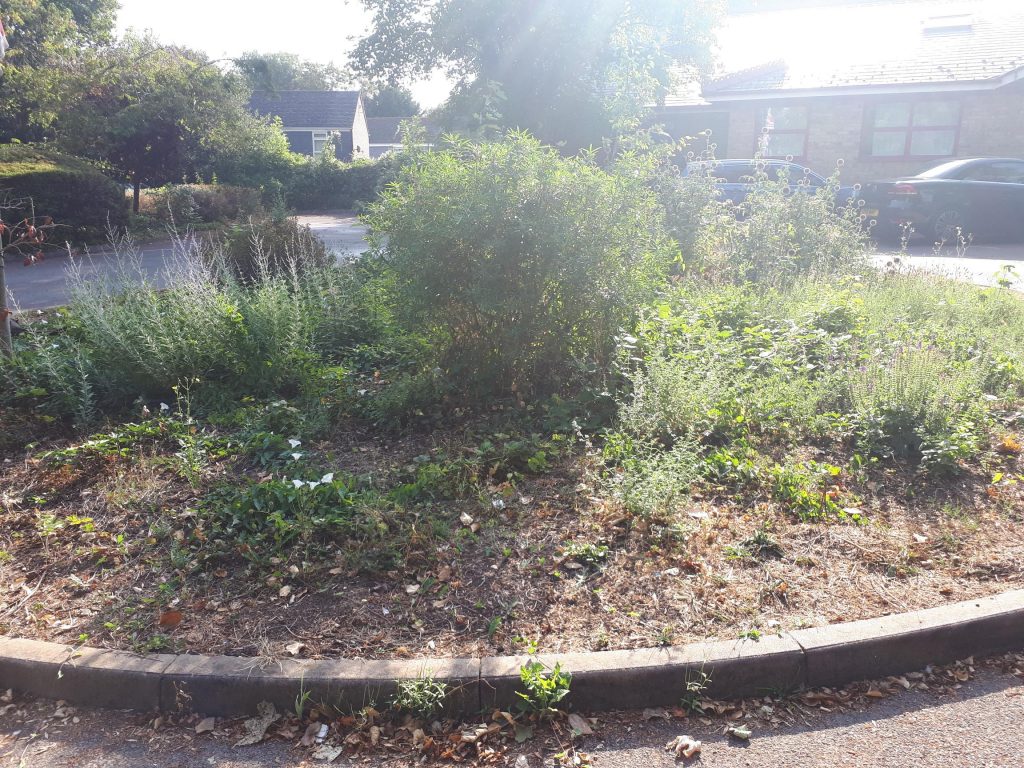 Corporate Sponsorship & Fundraising – Queen Anne First School